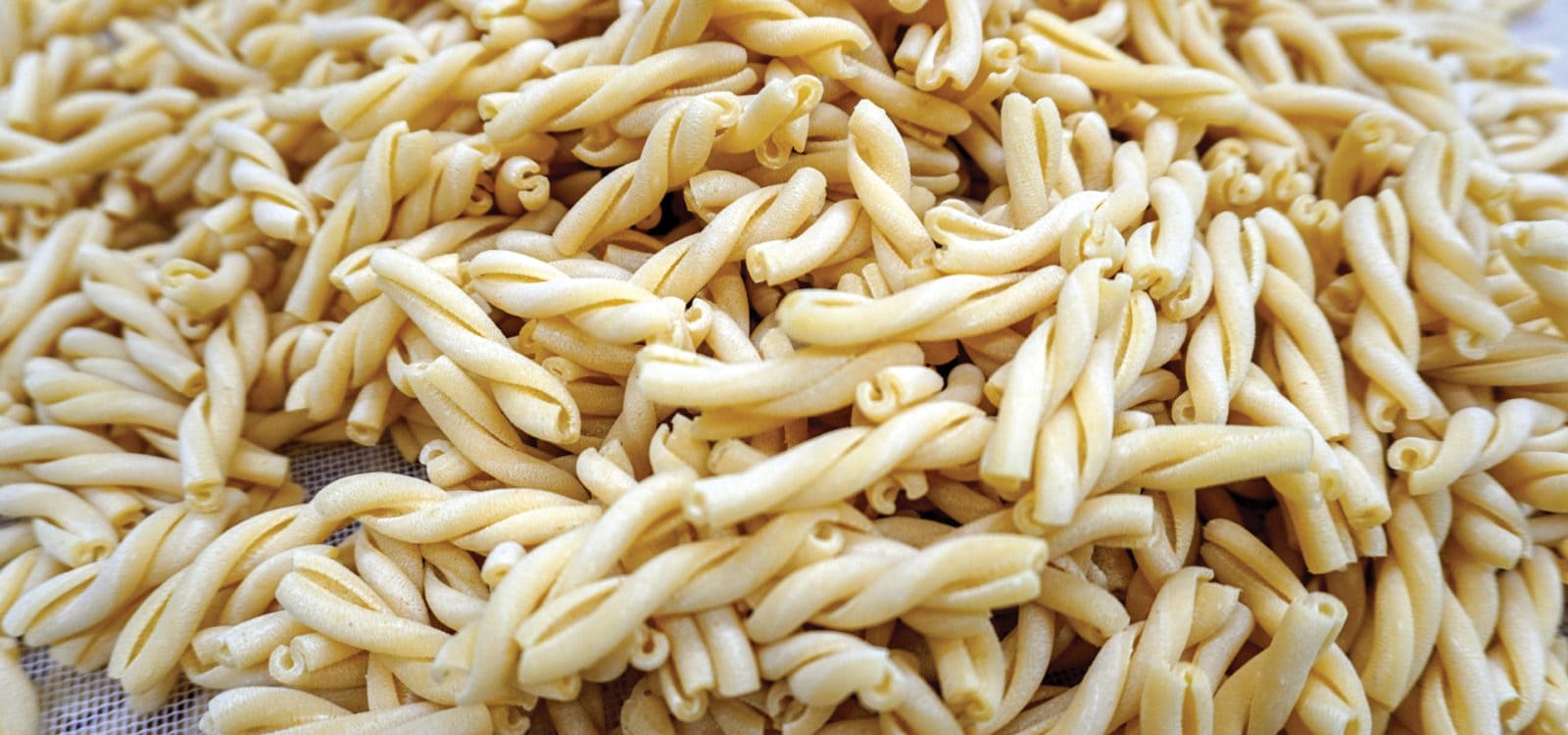 Step Inside Semolina Pasta in Pasadena, Where Small Batch Pasta is Made ...