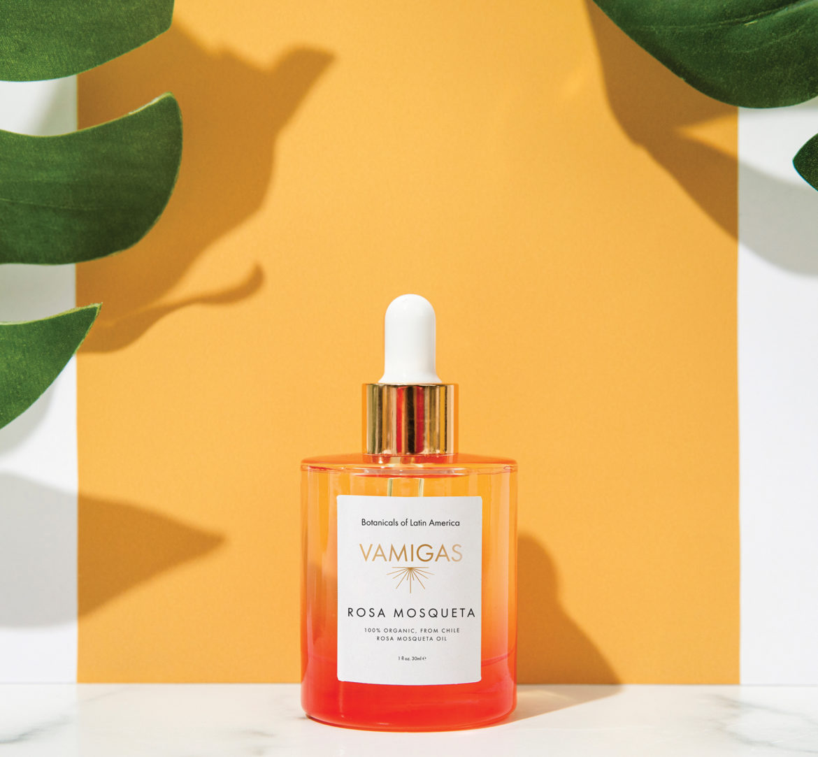 The Story of How Ann Dunning Co-founded Vamigas Cosmetics - Ventura Blvd