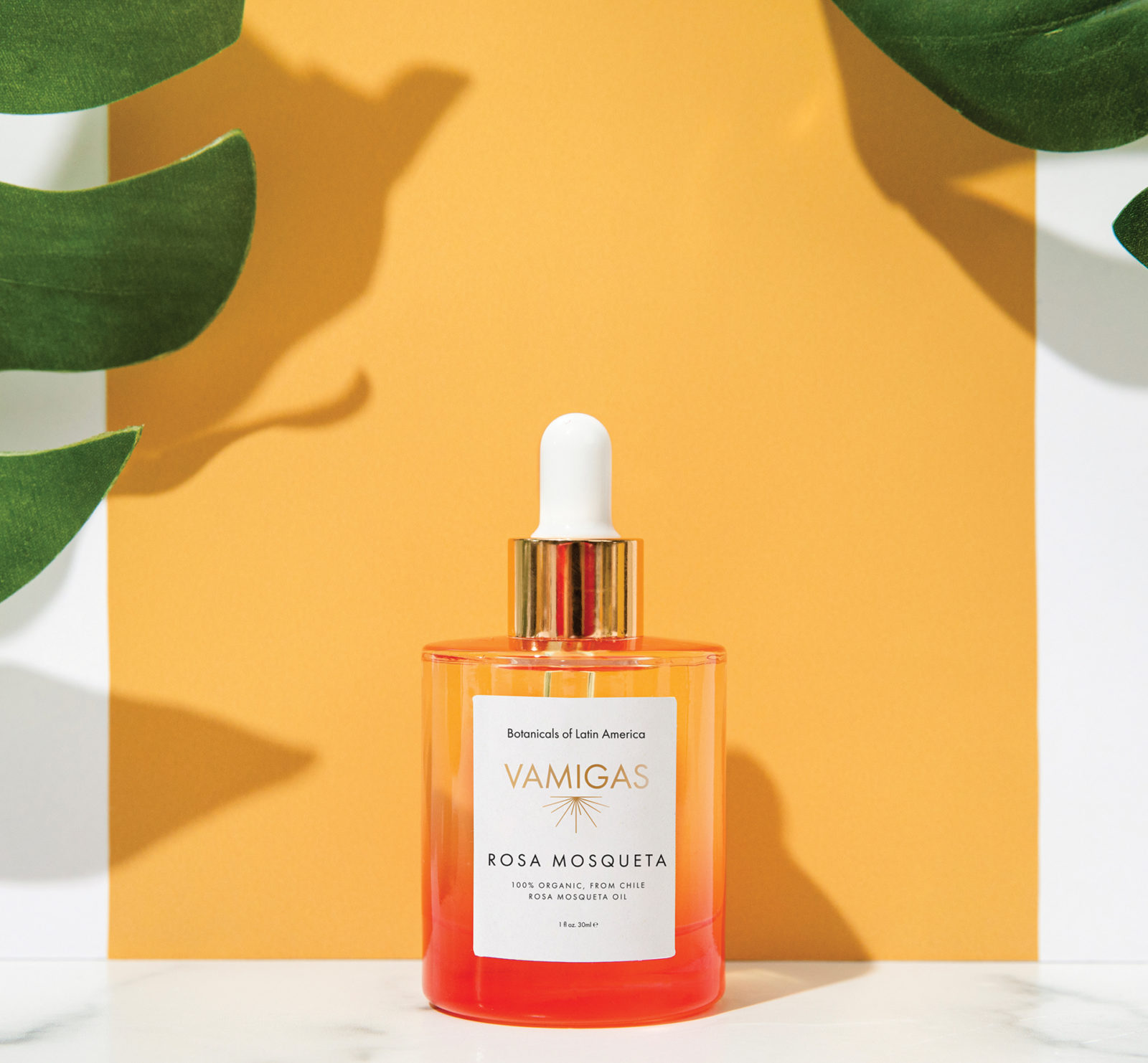 The Story of How Ann Dunning Co-founded Vamigas Cosmetics - Ventura Blvd