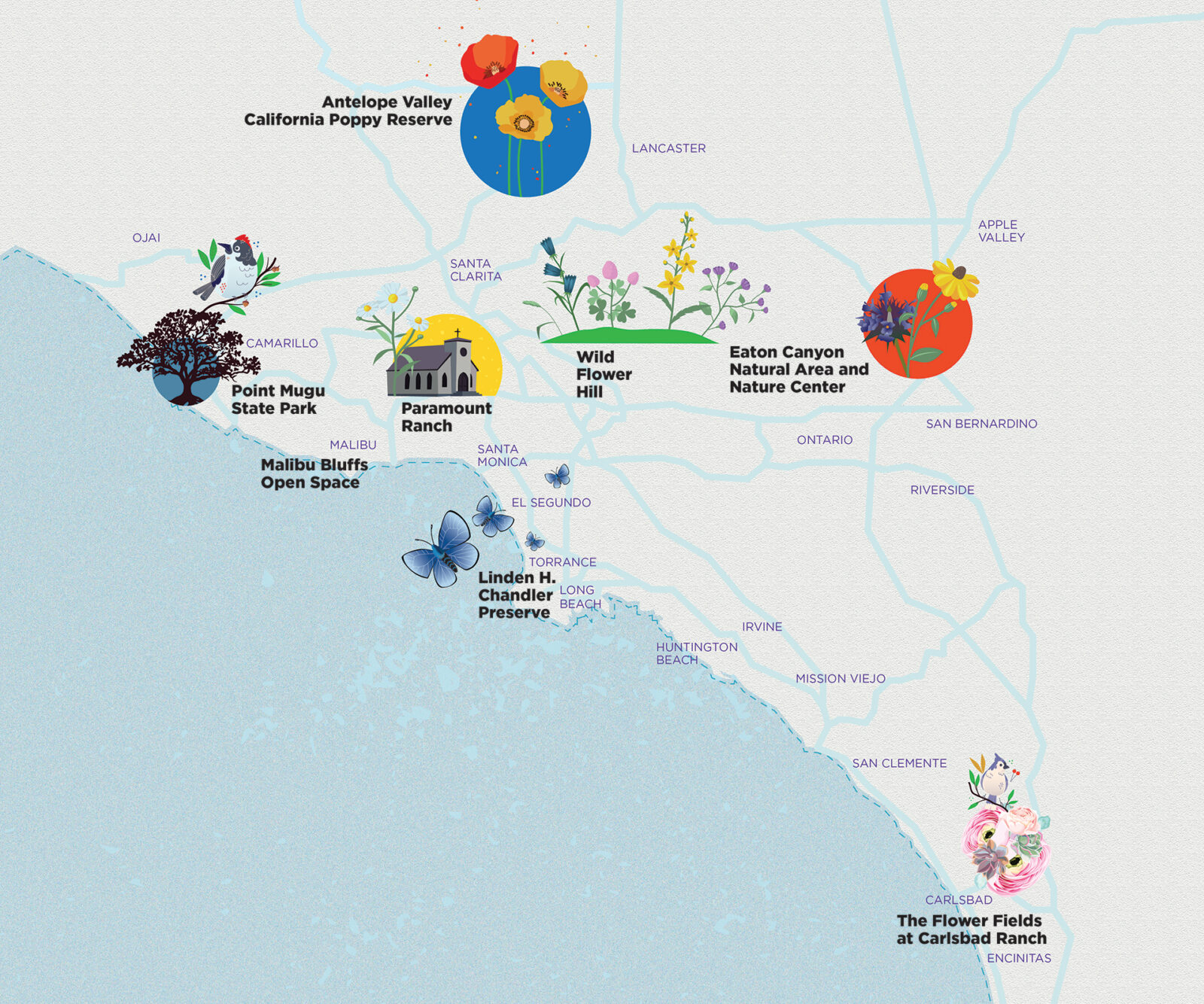 Where to See the Wildflower Superbloom This Spring - Ventura Blvd